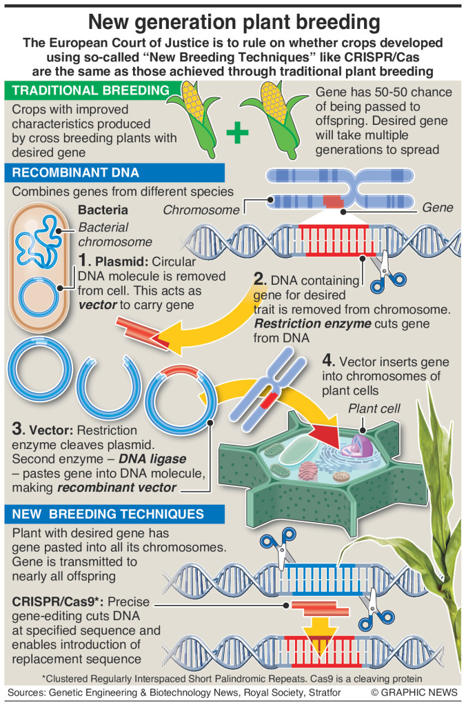 New generation of plant breeding – GMO crops in the dock – an annotated ...